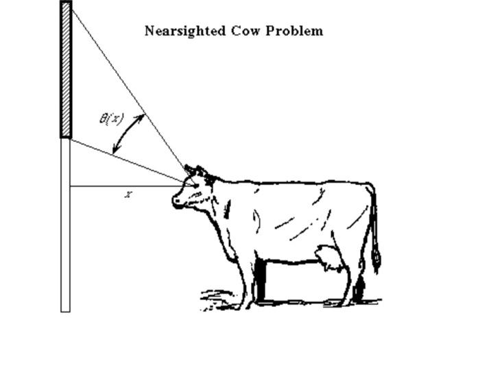 Solved (8 points) The Nearsighted Cow Problem: A Calculus | Chegg.com