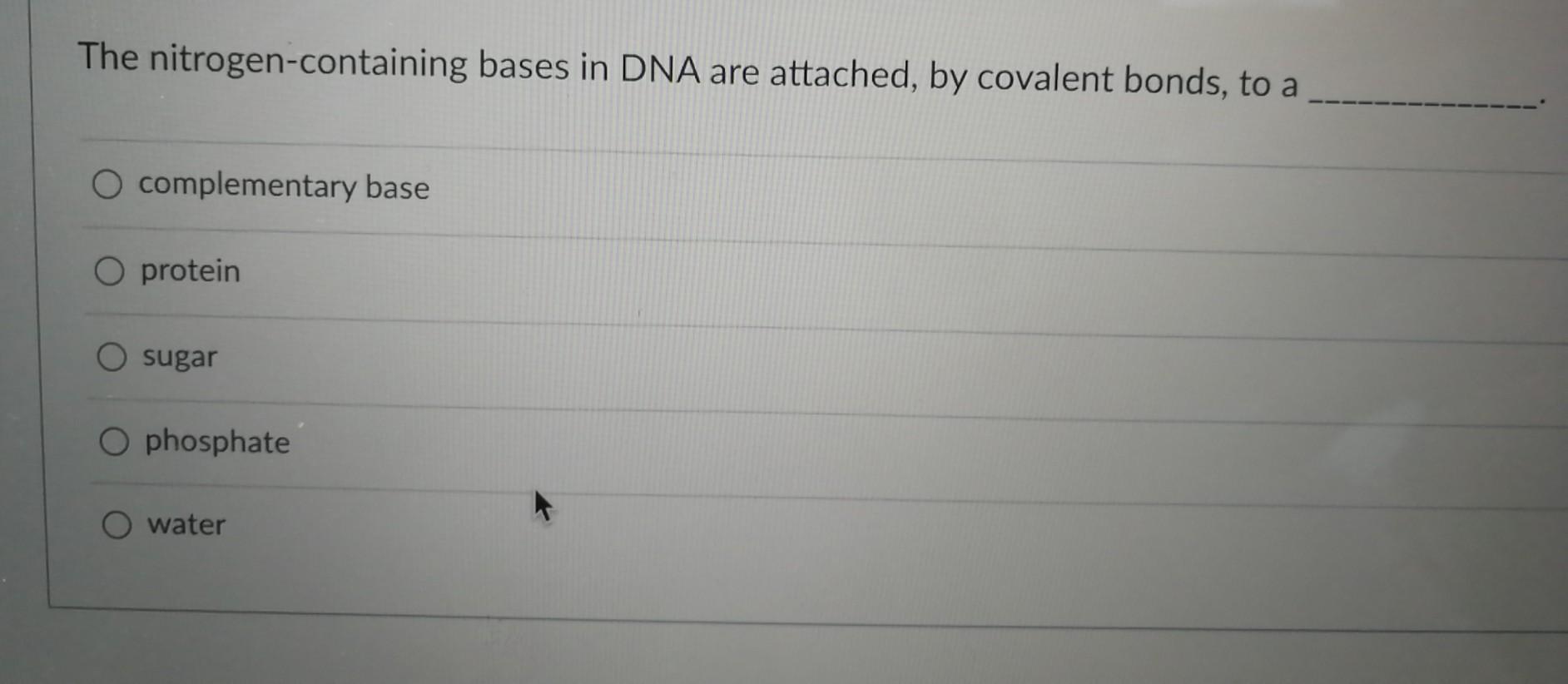 Solved The nitrogen-containing bases in DNA are attached, by | Chegg.com