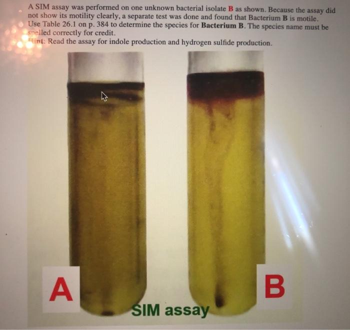 A SIM assay was performed on one unknown bacterial | Chegg.com