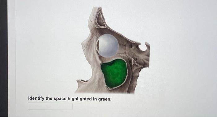 Solved Identify the space highlighted in green. | Chegg.com