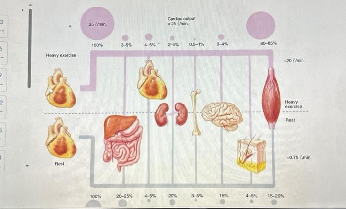 Solved Explain what the following image tells you about the | Chegg.com