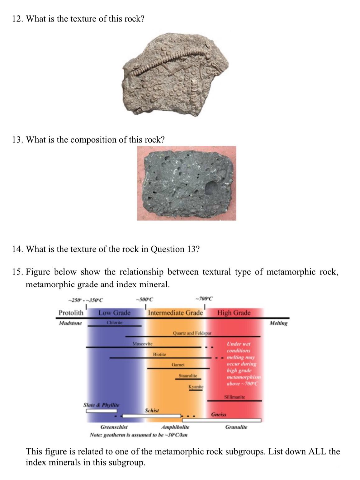 Solved 12. ﻿What is the texture of this rock?13.What is the | Chegg.com