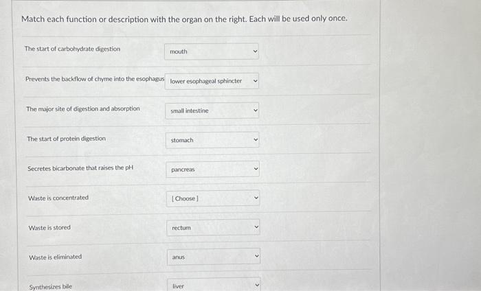 Solved Match each function or description with the organ on | Chegg.com