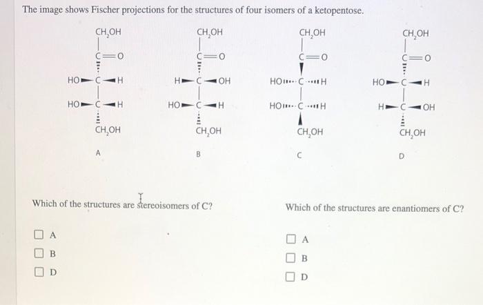Solved The image shows Fischer projections for the | Chegg.com