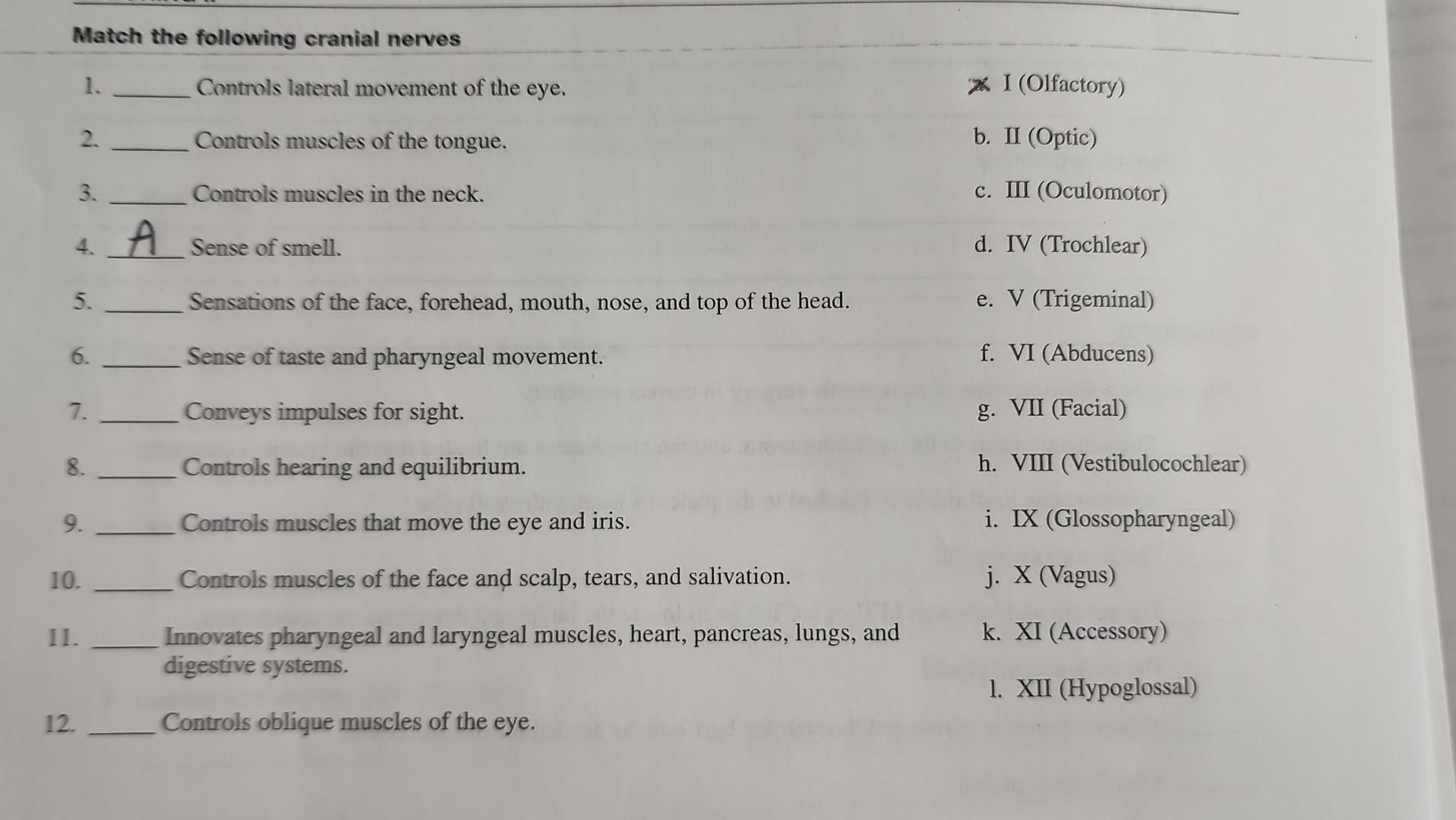 Solved Match the following cranial nerves | Chegg.com Solved Match the following cranial nerves | Chegg.com