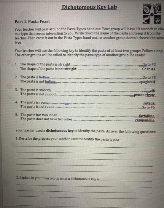 Solved Car Dichotomous Key Lab Part 1. Pasta Feast Your | Chegg.com