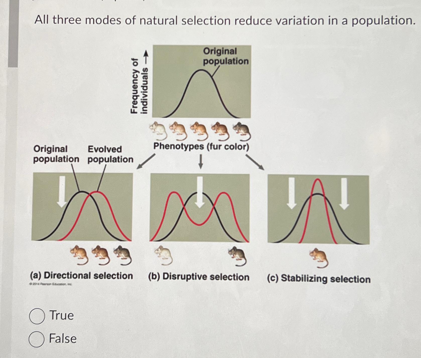 Solved All three modes of natural selection reduce variation | Chegg.com