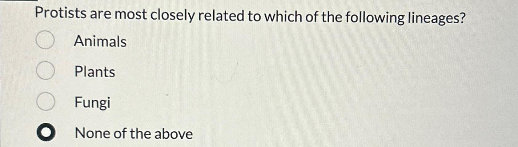 Solved Protists are most closely related to which of the | Chegg.com
