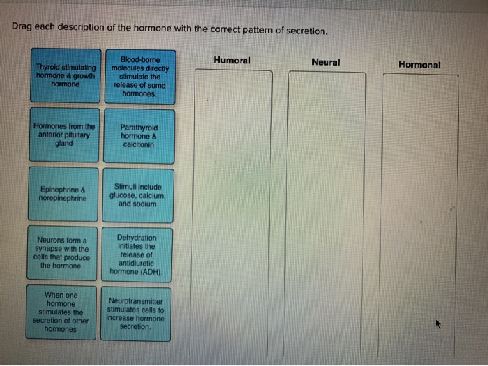 Solved Drag each description of the hormone with the correct | Chegg.com