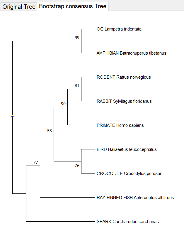 Solved PLEASE ANSWER URGENT 3 ﻿b. ﻿Bootstrap values are | Chegg.com