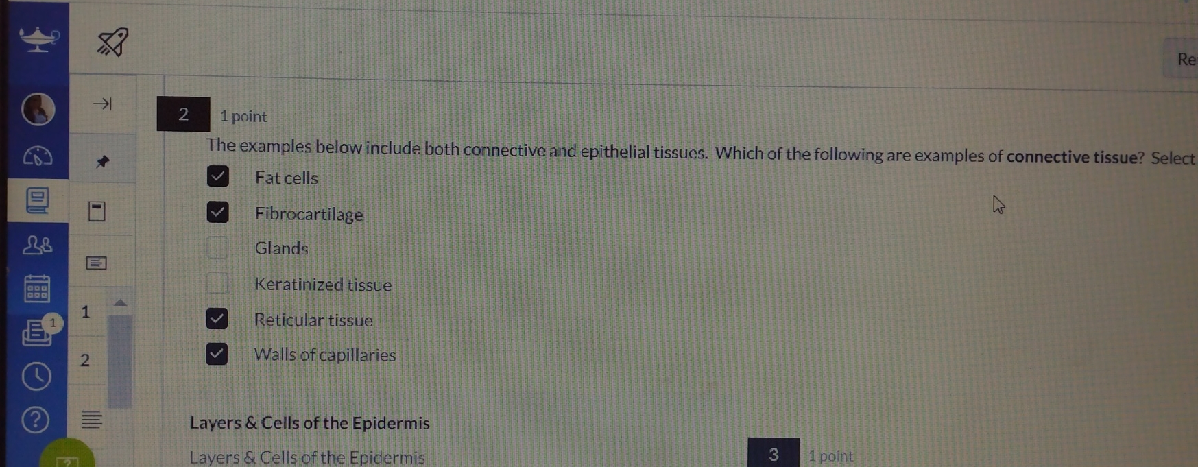Solved 2 1 ﻿pointThe examples below include both connective | Chegg.com