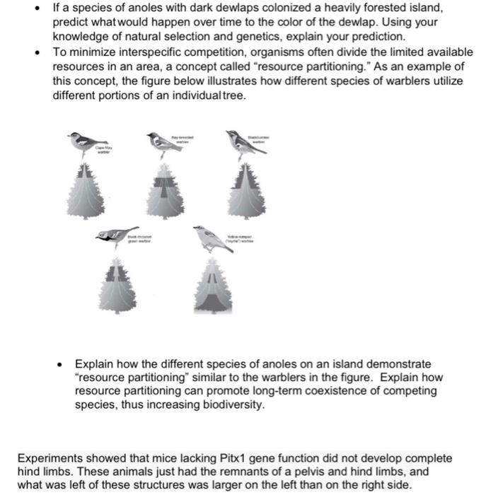 Solved Anolis cristatellus and A. cooki are both | Chegg.com