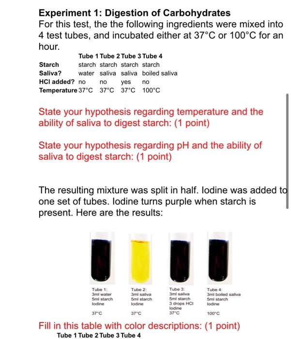 Solved Experiment 1: Digestion of Carbohydrates For this | Chegg.com