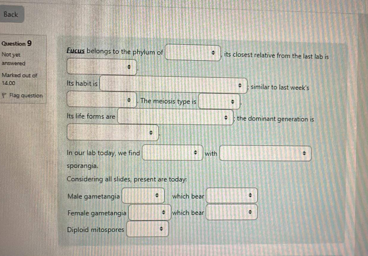 Solved Question 9Not yetansweredMarked out of14.00Flag | Chegg.com Solved Question 9Not yetansweredMarked out of14.00Flag | Chegg.com