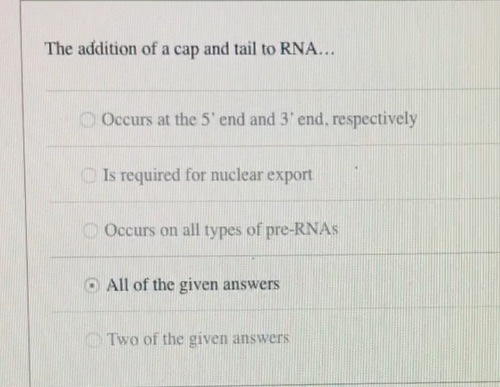 Solved RNA transcripts are ... Made antiparallel to the DNA | Chegg.com