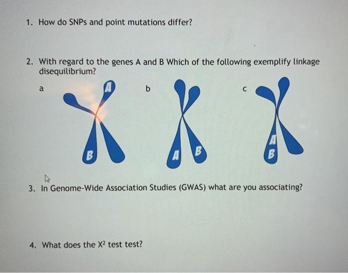 Solved 1. How do SNPs and point mutations differ? 2. With | Chegg.com