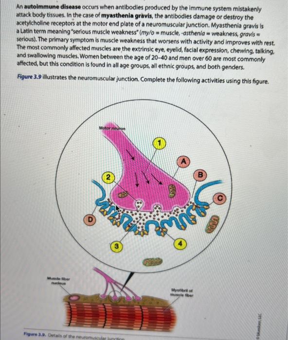 Solved An autoimmune disease occurs when antibodies produced | Chegg.com