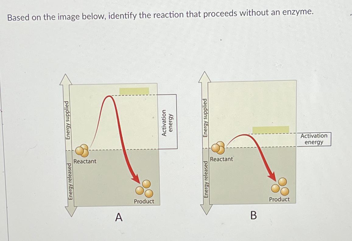 Solved Based on the image below, identify the reaction that | Chegg.com