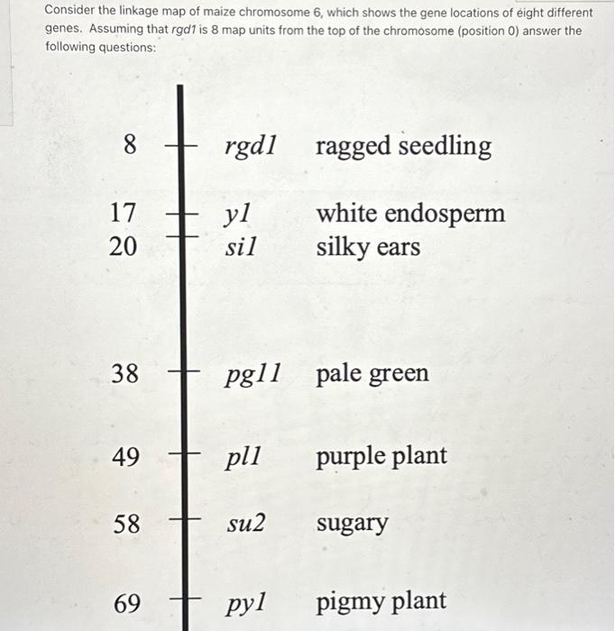 Solved Consider the linkage map of maize chromosome 6 , | Chegg.com