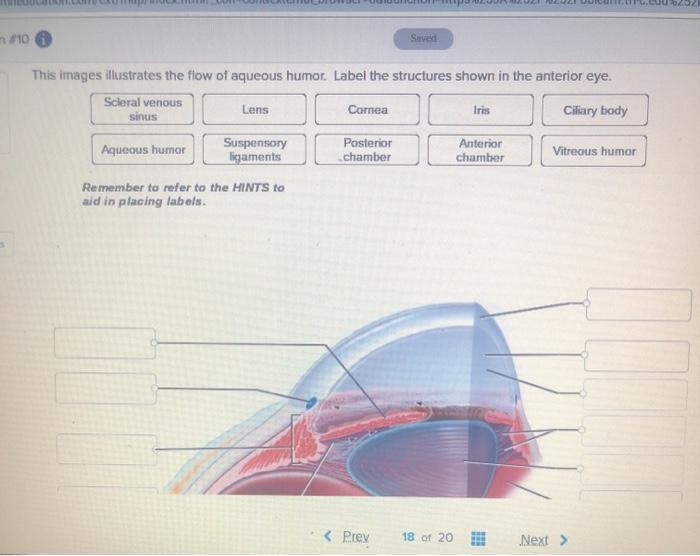 Solved UZULU 10 Saved This images illustrates the flow of | Chegg.com