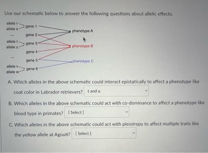 Solved Use our schematic below to answer the following | Chegg.com