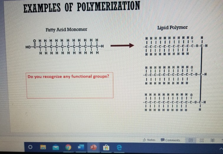 Solved EXAMPLES OF POLYMERIZATION Fatty Acid Monomer Lipid | Chegg.com