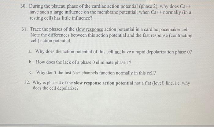 Solved 30. During the plateau phase of the cardiac action | Chegg.com