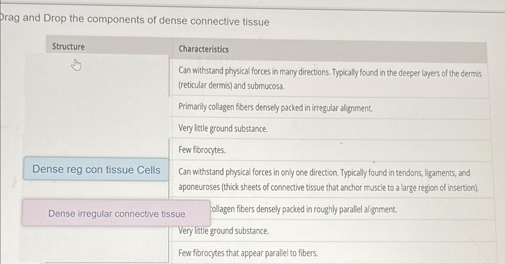 Drag and Drop the components of dense connective | Chegg.com