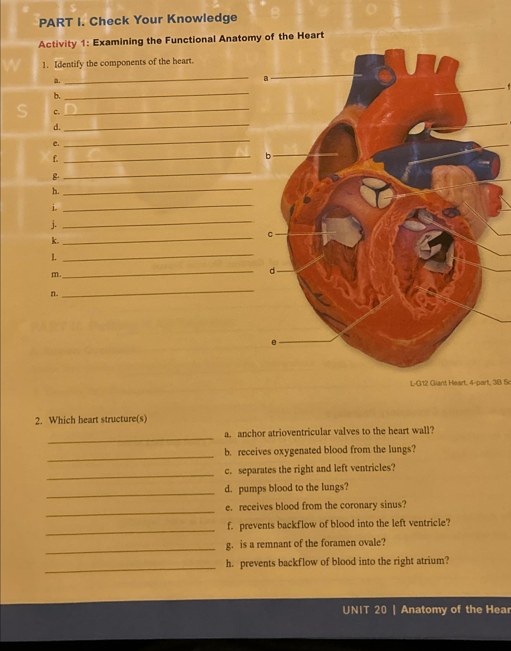Solved PART I. Check Your KnowledgeActivity 1: Examining the | Chegg.com