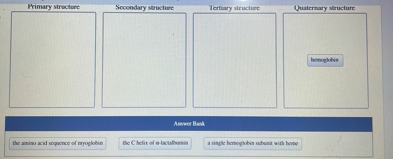 Solved Primary structureSecondary structureIertiary | Chegg.com