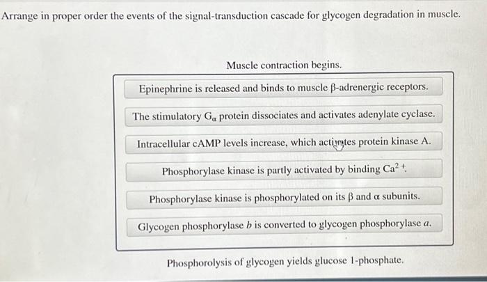 Solved Arrange in proper order the events of the | Chegg.com