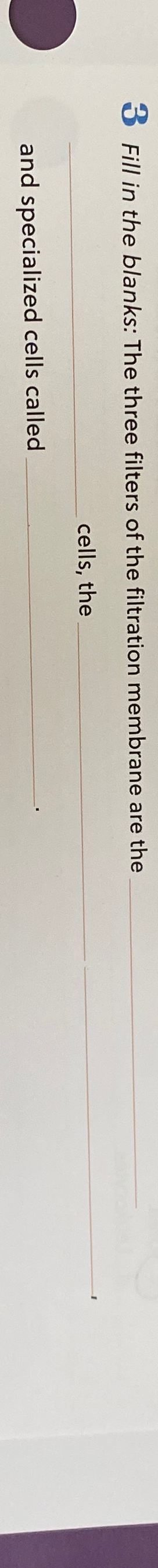 Solved 3 ﻿Fill in the blanks: The three filters of the | Chegg.com