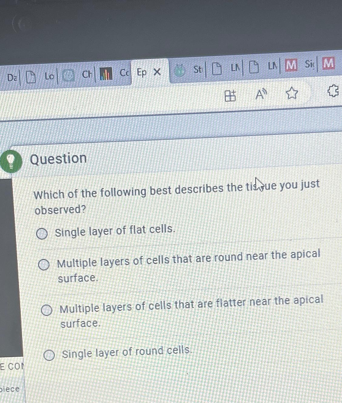 Solved QuestionWhich of the following best describes the tis | Chegg.com