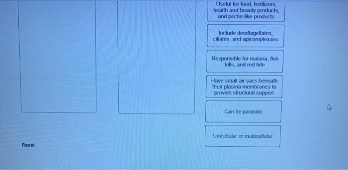 Solved Classify the following examples and characteristics | Chegg.com