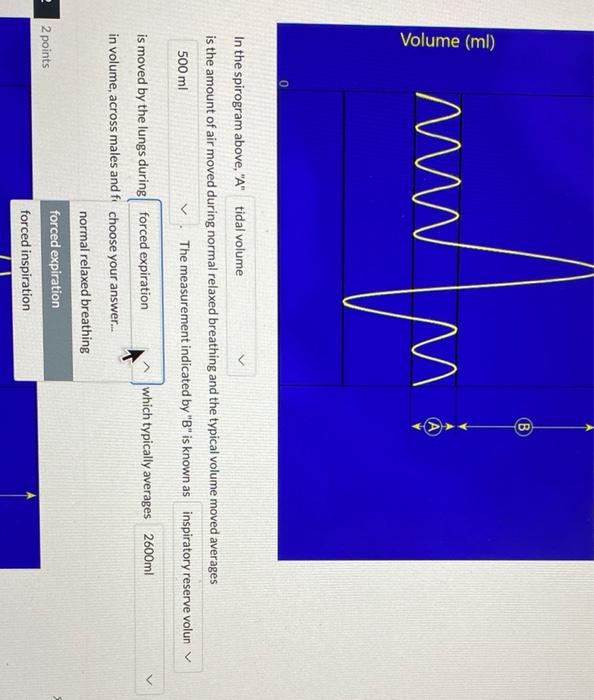 Solved B Volume (ml) mw whe A In the spirogram above, "A" | Chegg.com