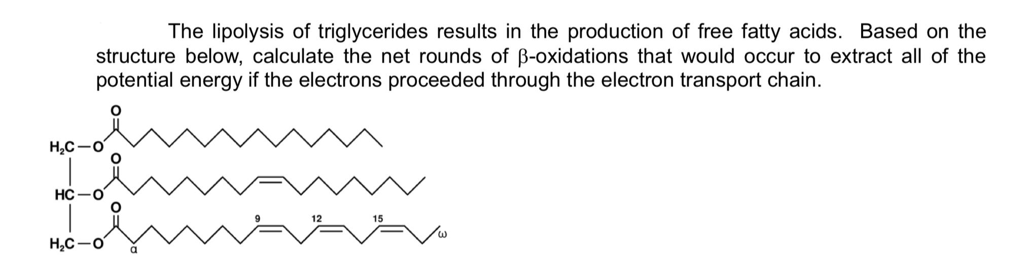 Solved The lipolysis of triglycerides results in the | Chegg.com