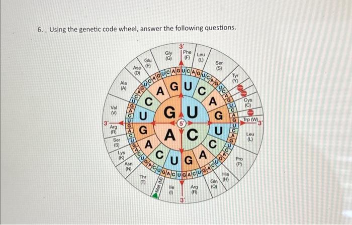 Solved a. Provide the three-letter amino acid sequence | Chegg.com
