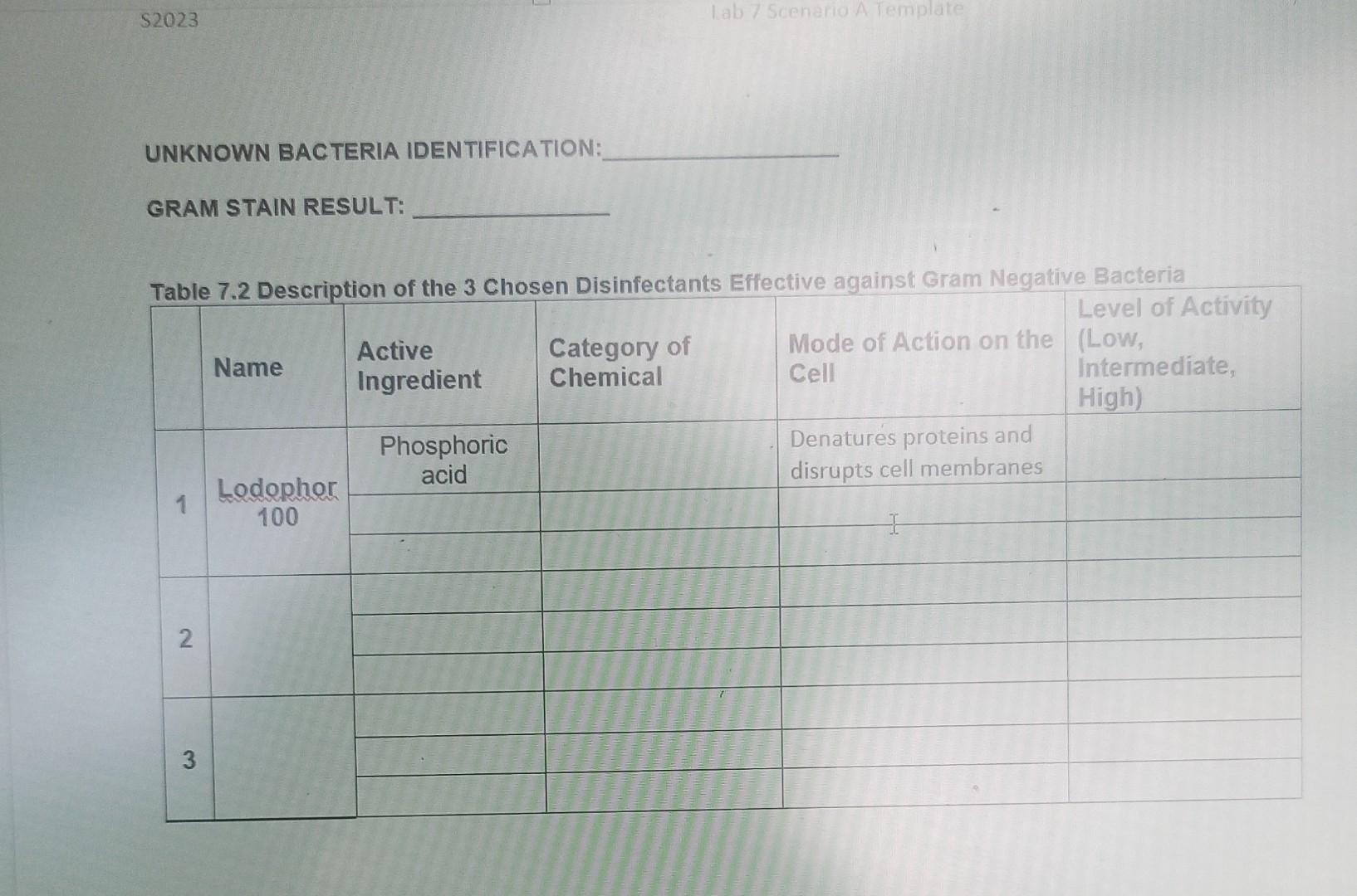 UNKNOWN BACTERIA IDENTIFICATION: GRAM STAIN RESULT: | Chegg.com