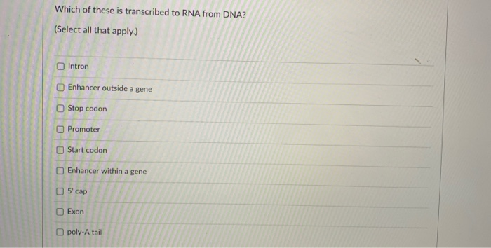 Solved Given the partial RNA sequence for a gene, what is | Chegg.com