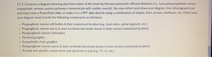 Solved 11-3. Construct a diagram showing dual innervation of | Chegg.com