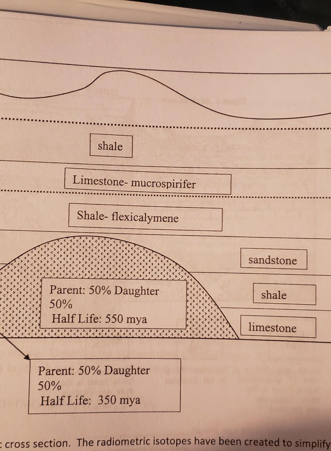 Solved shale Limestone- mucrospirifer Shale- flexicalymene | Chegg.com