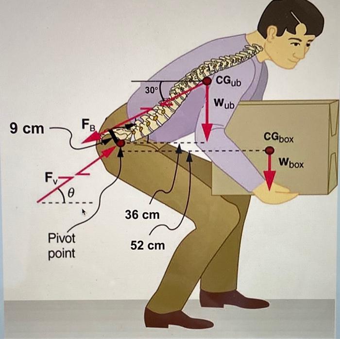Solved A person in the figure below decides to lift a heavy | Chegg.com