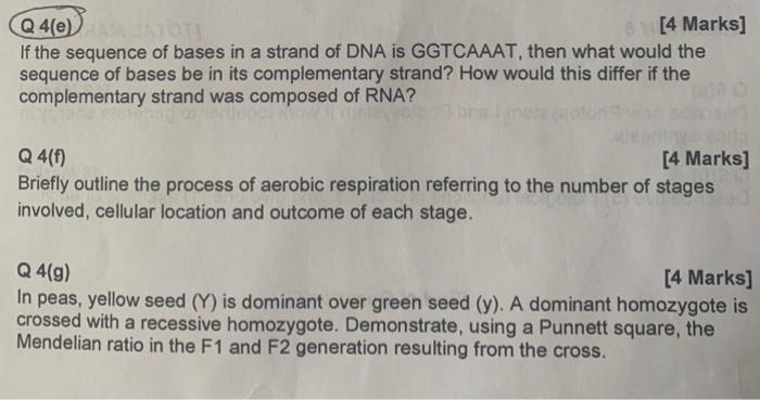 Solved Q 4(e) [4 Marks] If the sequence of bases in a strand | Chegg.com