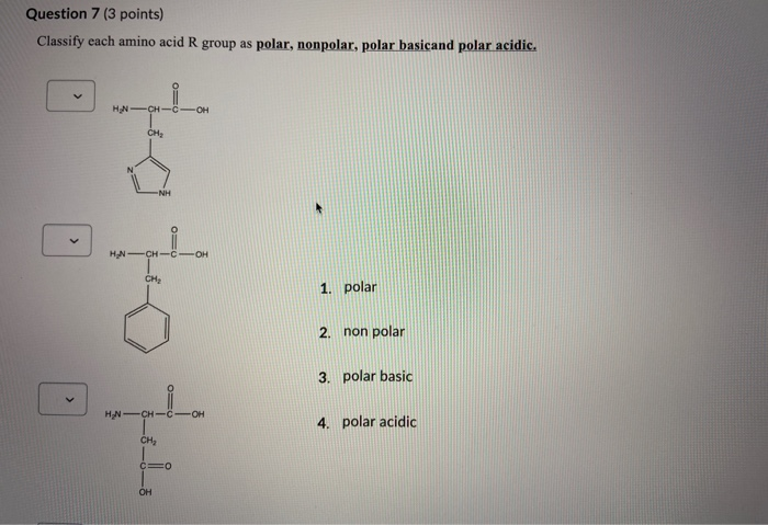 Solved Classify each amino acid R group as polar, nonpolar, | Chegg.com