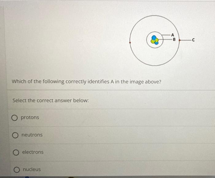 Solved Which of the following correctly identifies A in the | Chegg.com