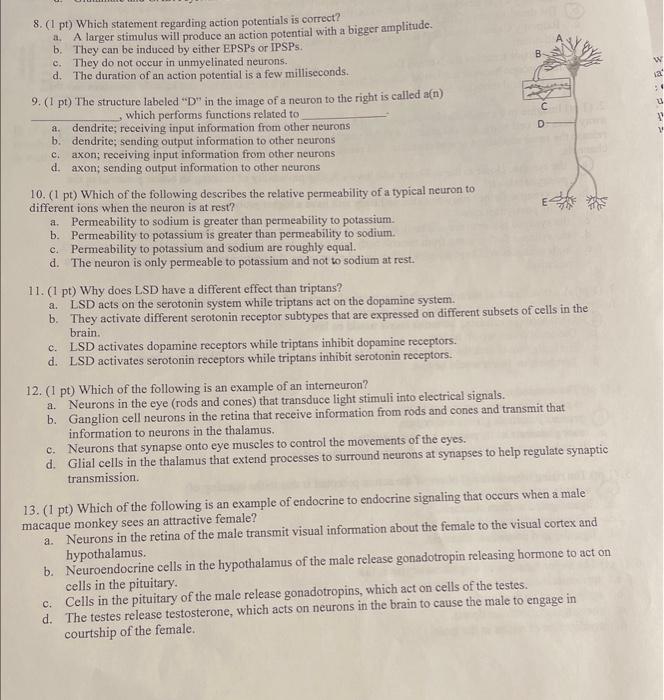 Solved 8. (1 pt) Which statement regarding action potentials | Chegg.com
