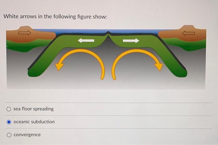 Solved White arrows in the following figure show: sea floor | Chegg.com