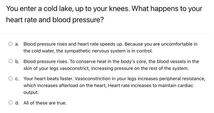 Solved Horatio's blood pressure at the brachial artery | Chegg.com