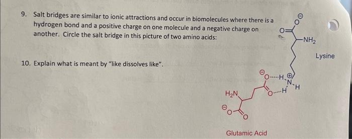 Solved 9. Salt bridges are similar to ionic attractions and | Chegg.com