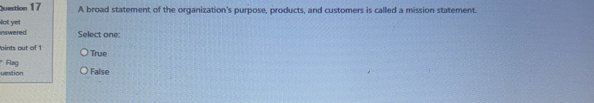 Solved 2uestion 17A broad statement of the organization's | Chegg.com